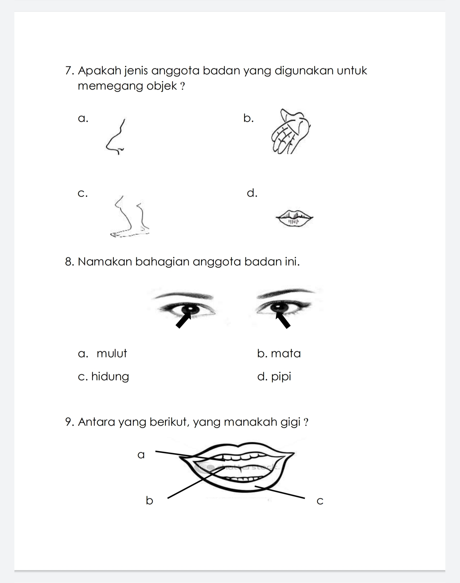 Modul Latihan Sains Tahun 1 - Pendidikan Rasmi