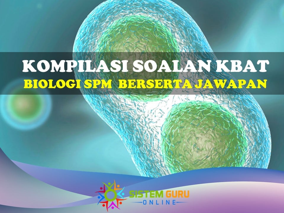 Kompilasi Soalan KBAT Biologi SPM Bersama Jawapan - Pendidikan Rasmi