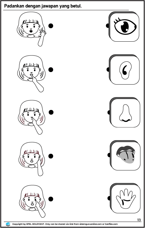 Latihan Sains Tahun 1 = Unit: Deria Manusia, Muka Surat 13&14 ...