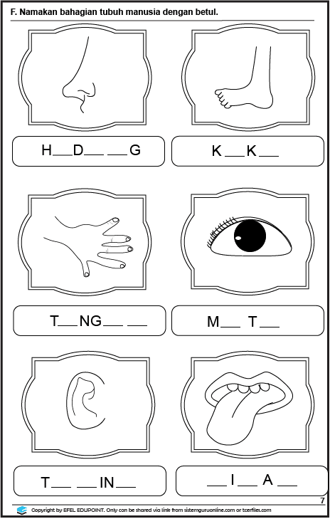 Latihan Sains Tahun 1= Unit: Deria Manusia, Muka Surat 7&8 - Download ...