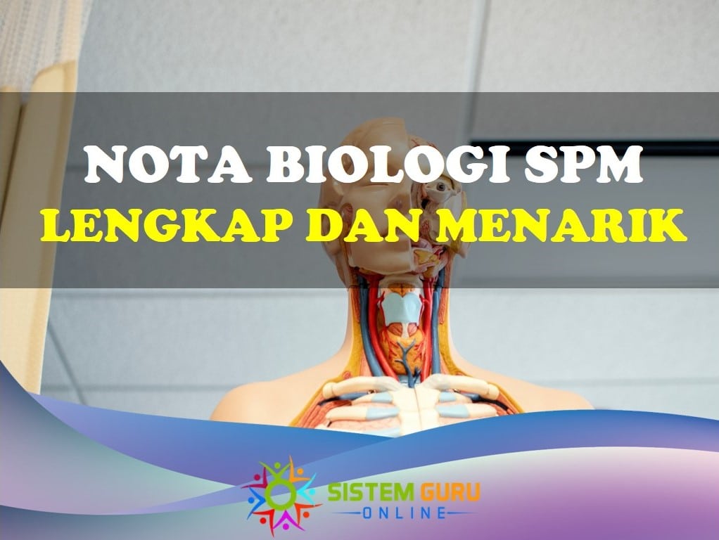 Nota Biologi SPM Yang Lengkap Dan Kreatif - Pendidikan Rasmi